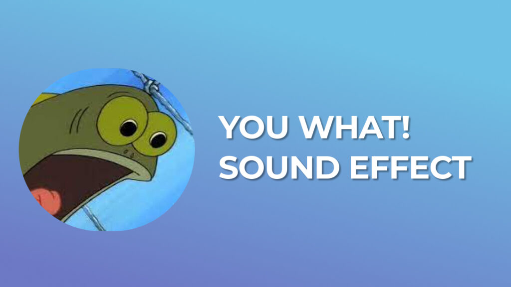 Meme Sound Effects - MP3 Download