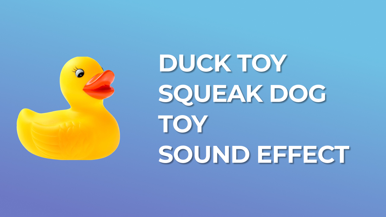 Duck Toy Squeak Sound Effect - MP3 Download
