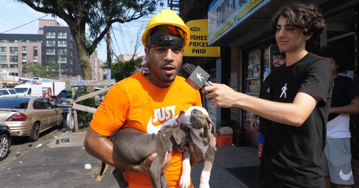 Bing Bong Loud Sound Effect - MP3 Download