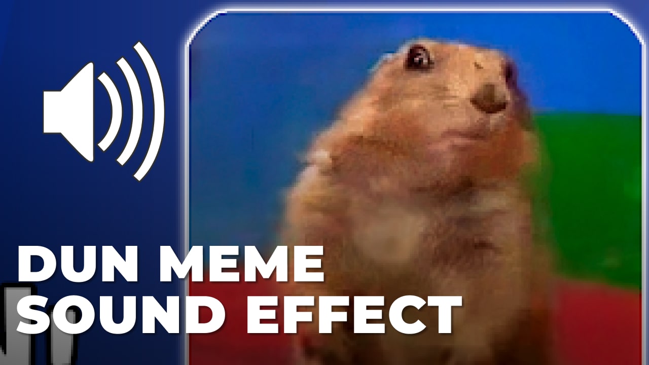 Dun Meme sound effect - MP3 Download