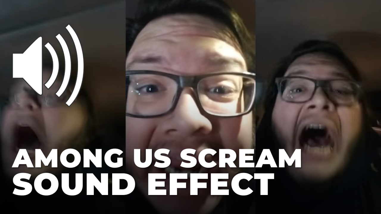 Among Us Scream Sound Effect - MP3 Download