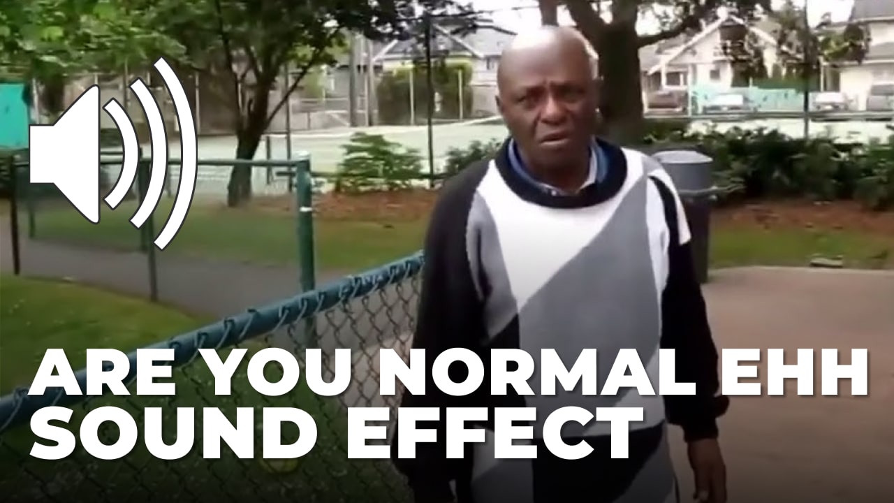 Are you normal ehh Sound Effect - MP3 Download