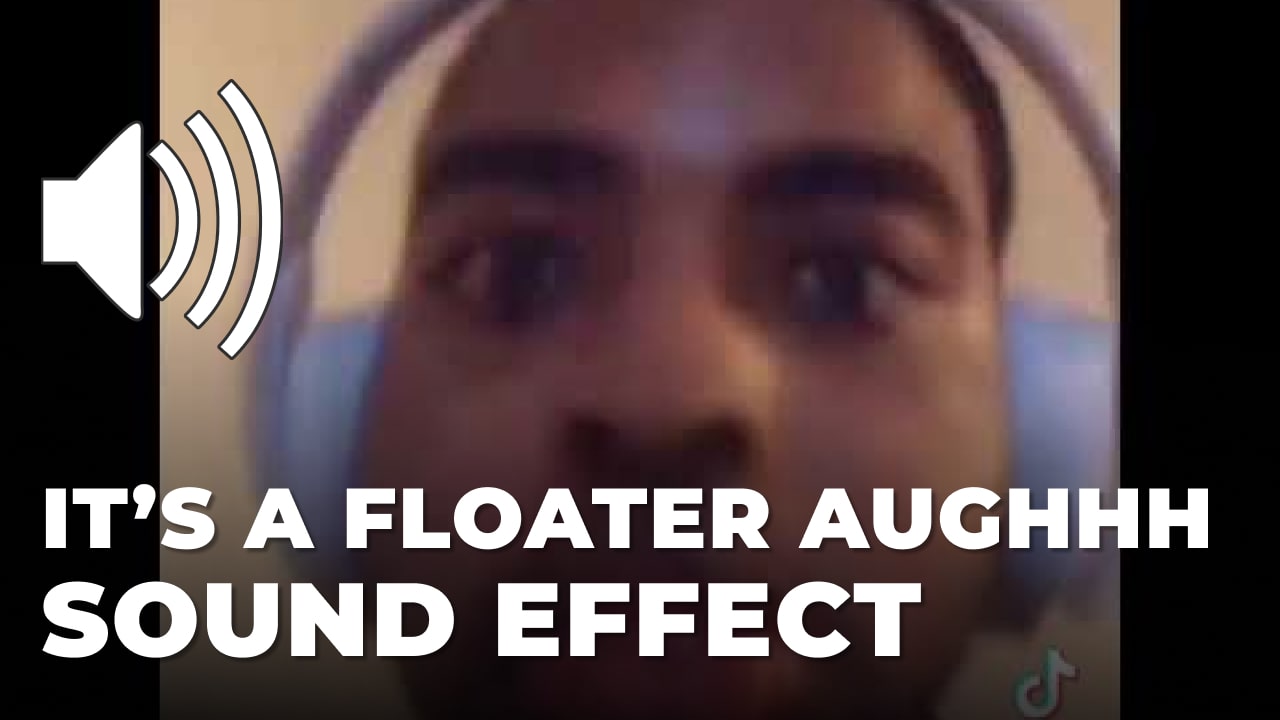 Its a floater aughhh Sound Effect - MP3 Download