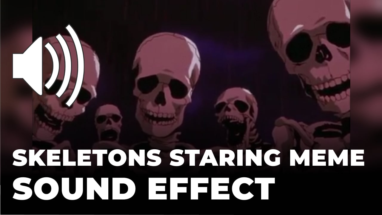 skeletons staring meme Sound Effect - MP3 Download