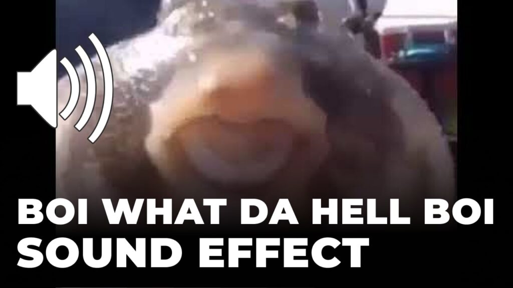 Boi What da Hell Boi Sound Effect - MP3 Download