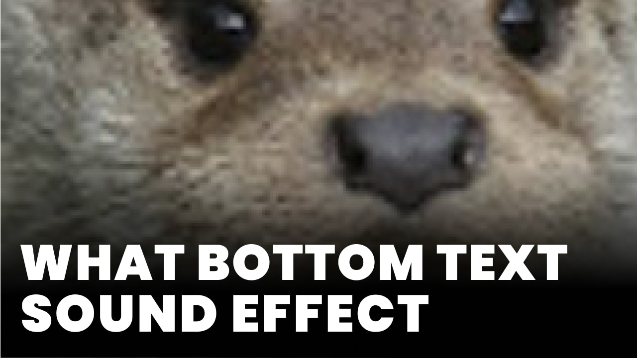 What Bottom Text Meme Sound Effect - MP3 Download