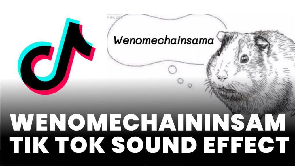 wenomechaininsama Tik Tok Sound Effect - MP3 Download