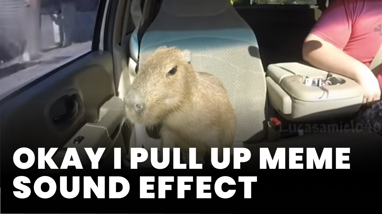 Okay I pull up meme Sound Effect - Download MP3