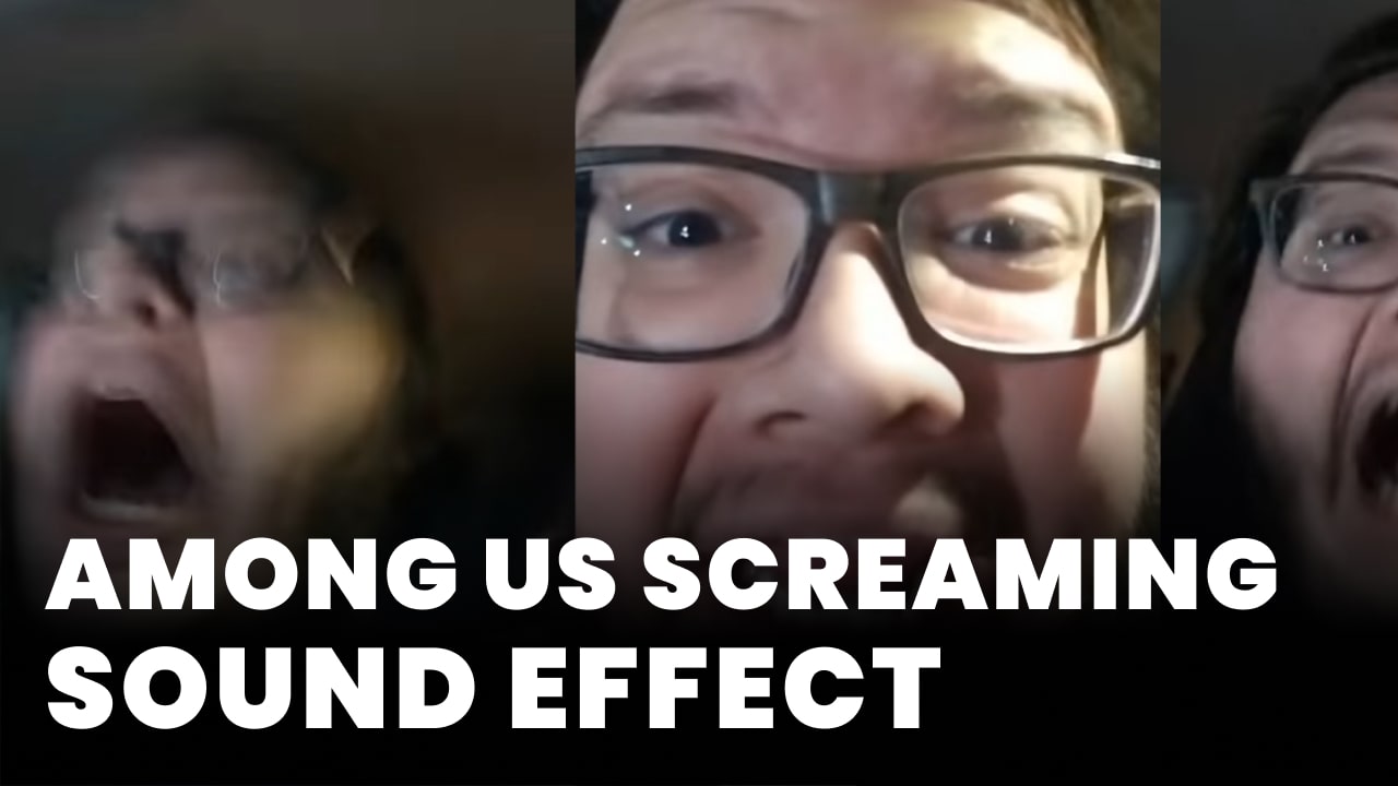 Among Us Screaming Sound Effect - MP3 Download