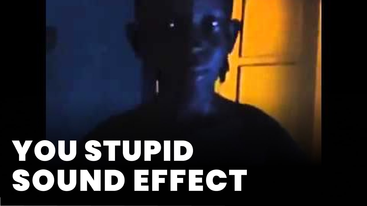 You Stupid Sound Effect - MP3 Download