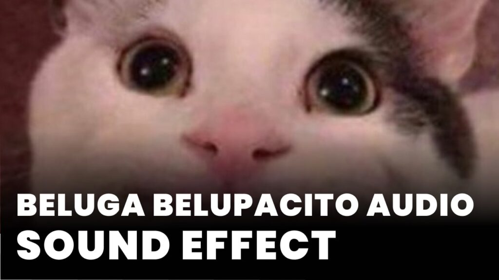 Beluga Belupacito Audio Sound Effect - MP3 Download