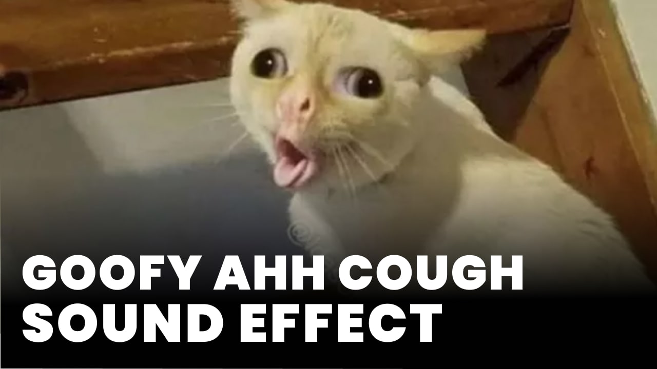 Goofy Ahh cough Sound Effect - MP3 Download