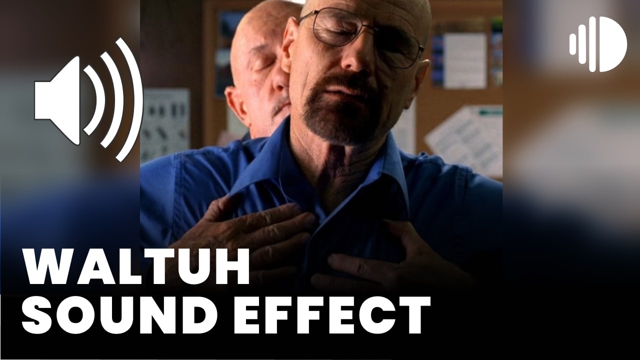 Waltuh Sound Effect - MP3 Download