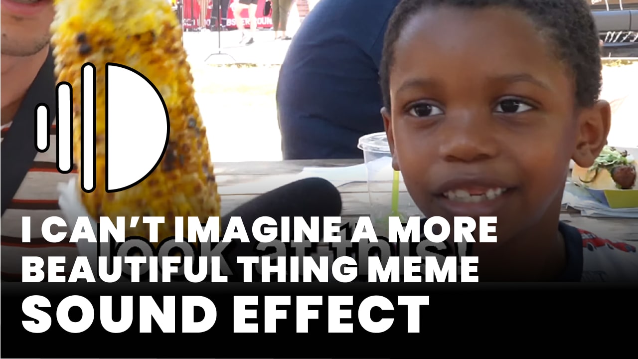 I Can’t Imagine a More Beautiful Thing Meme - Free MP3