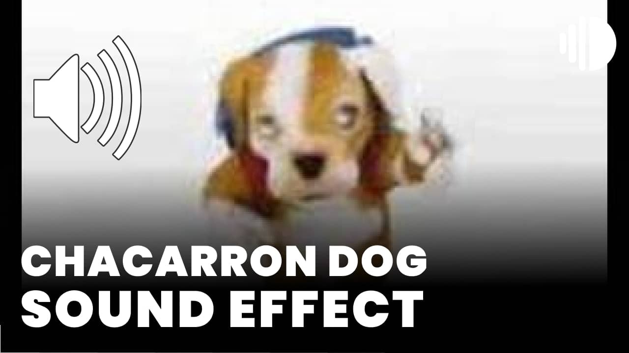 Chacarron Dog Sound Effect - MP3 Download