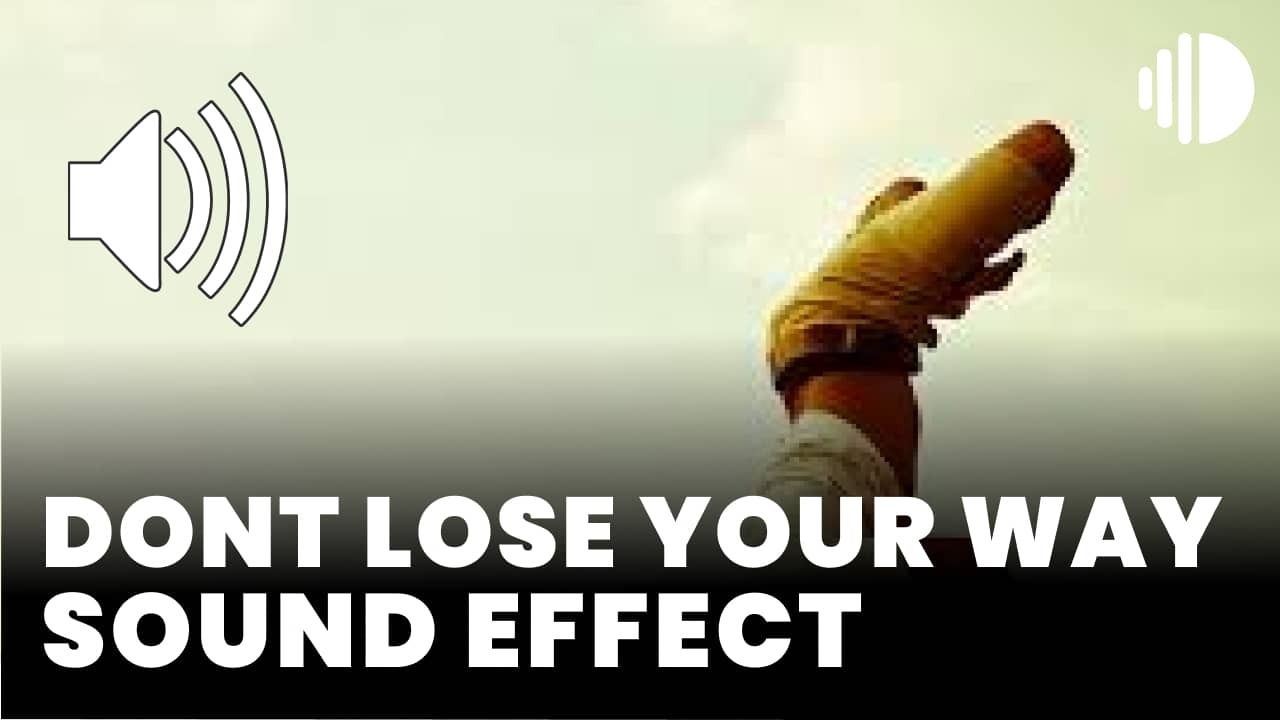 Dont Lose - MP3 Download