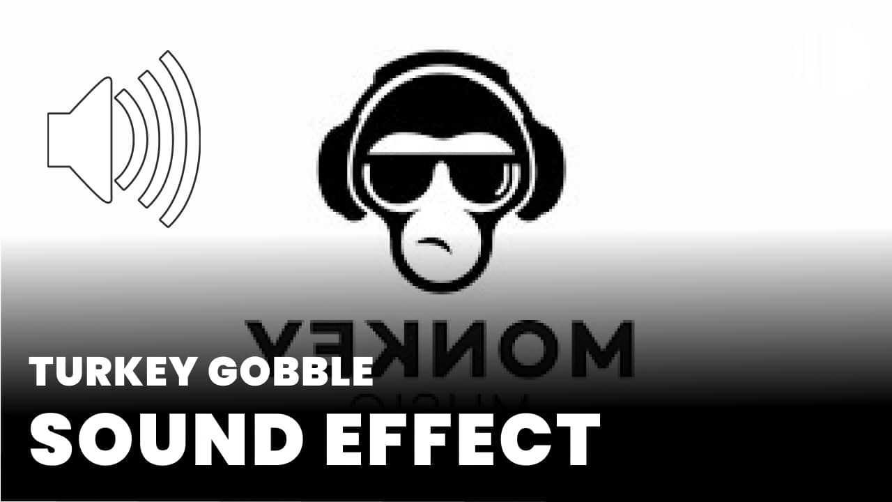 Turkey Gobble Sound Effect - MP3 Download