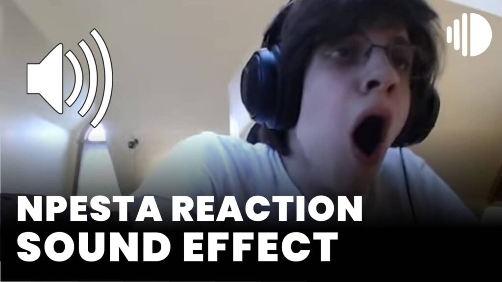 Npesta reaction - MP3 Download