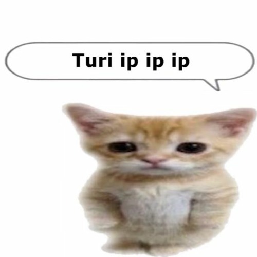 Tur ip ip Tur ip - MP3 Download