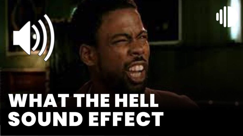 What the Hell - MP3 Download