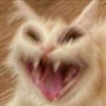 Aaaaa - MP3 Download