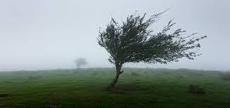 Wind Howling - MP3 Download