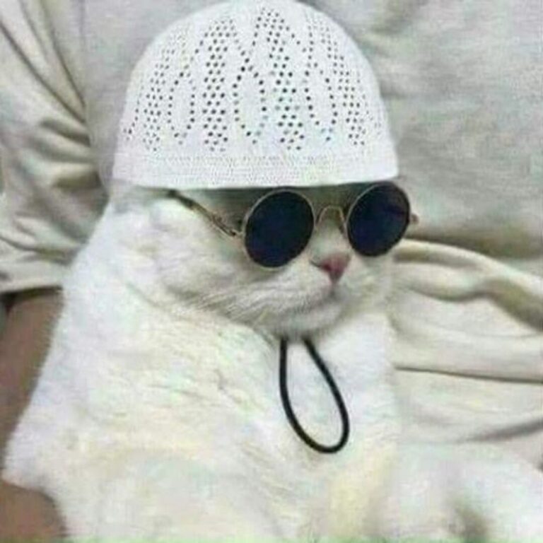 open na noor - MP3 Download