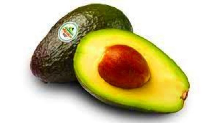 mexican avacados - MP3 Download