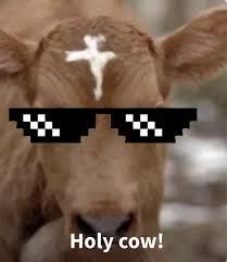 holy Meme - MP3 Download