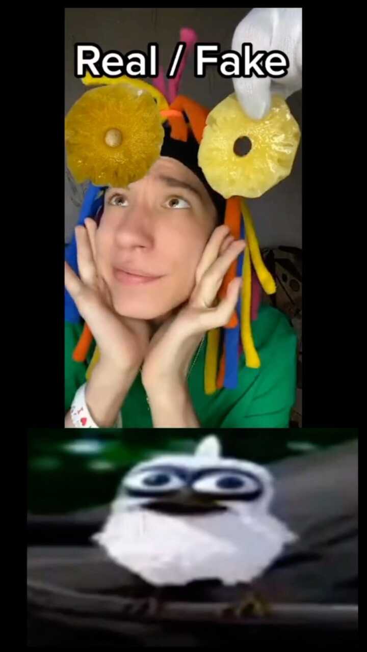 real-fake-meme-real-fake-meme-djlunatique-com-mp3 Meme Sound Effects