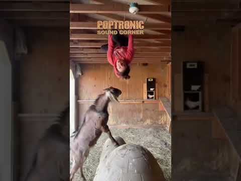 Dramatic Meme Sound - MP3 Download