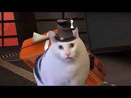 Meet Ben the Huh Cat - Download Free MP3