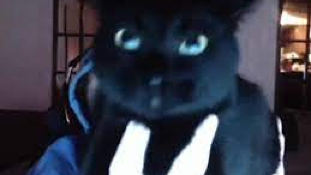 Caseoh kitty meme sound effect - MP3 Download