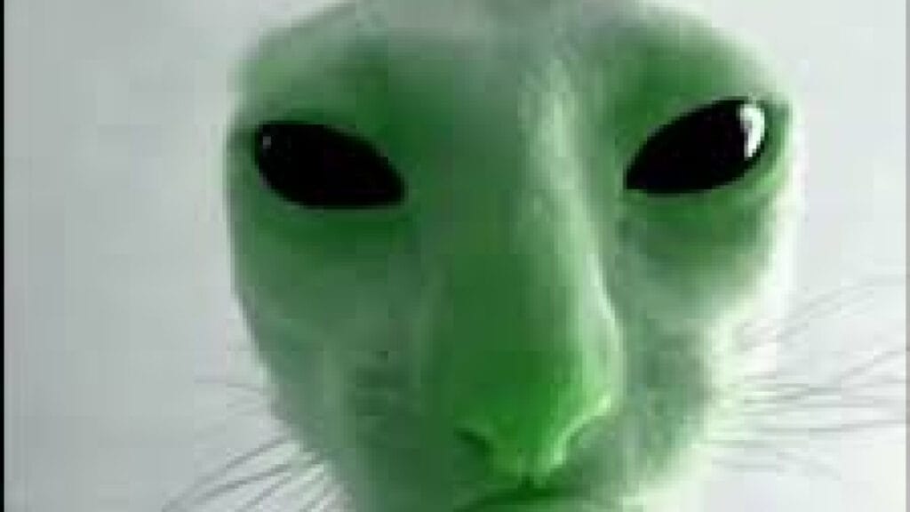 Alien Mimimimi Meme Sound Effect - MP3 Download