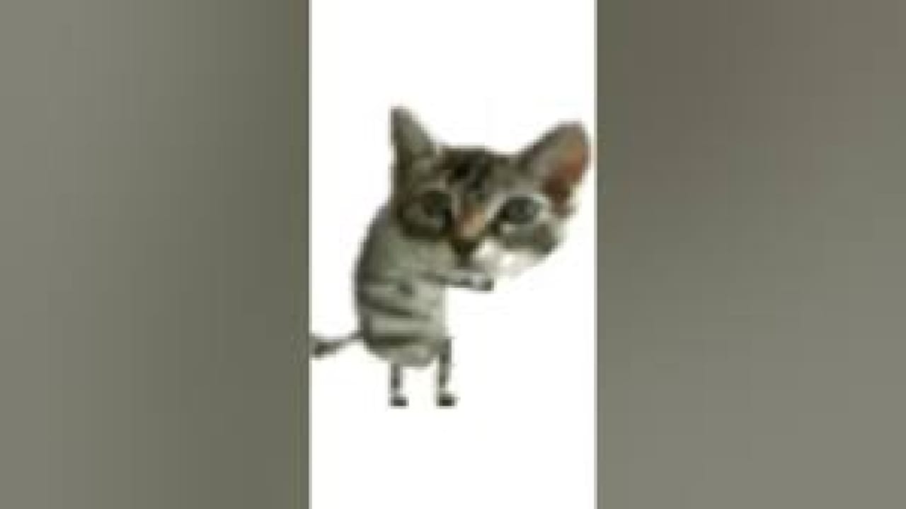 Pipipipi cat meme sound - MP3 Download