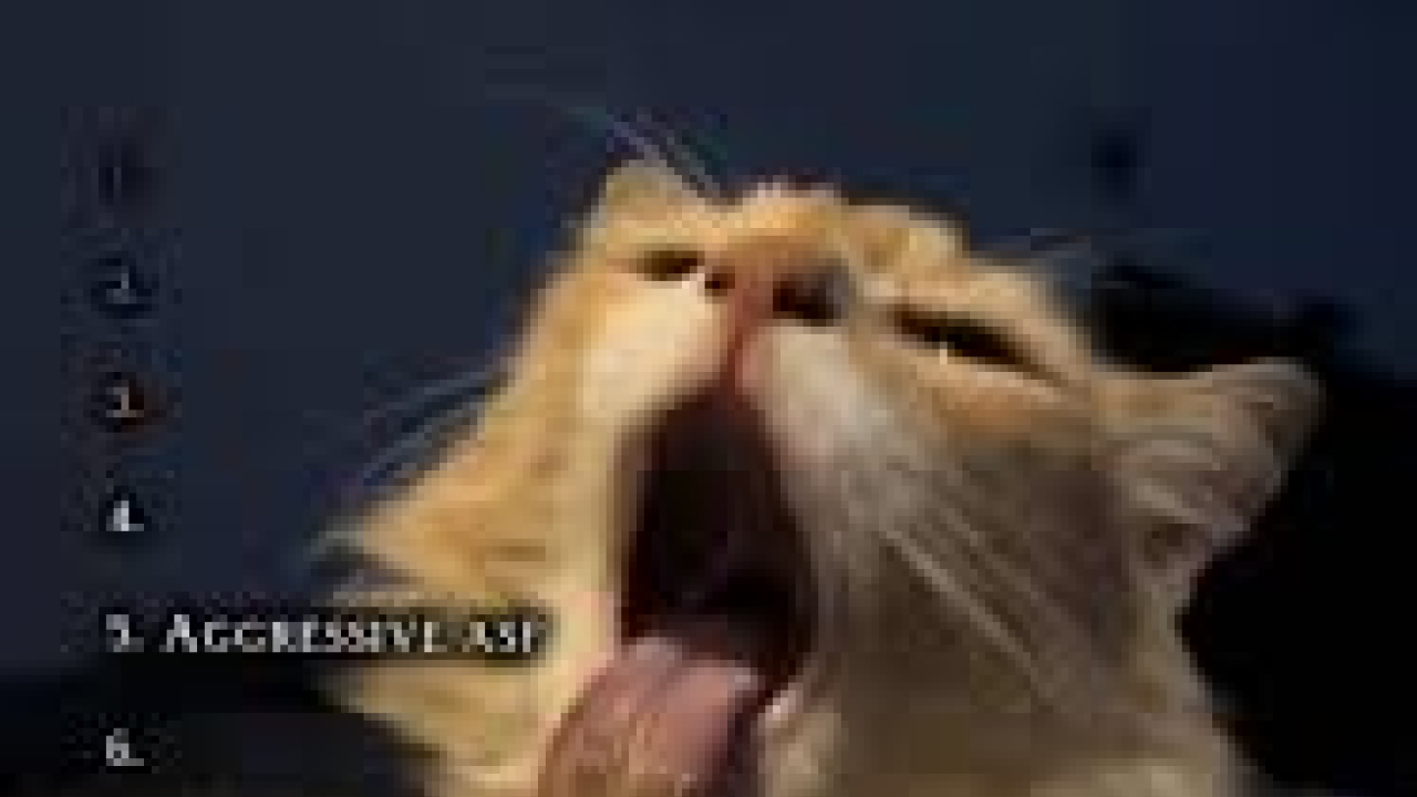 Meme Soundboard - Sound Buttons MP3 Download