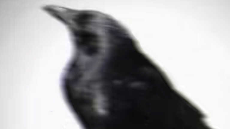 Flamethrower meme sound - MP3 Download