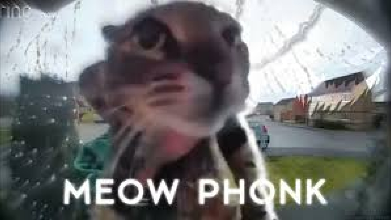 Meow phonk - MP3 Download