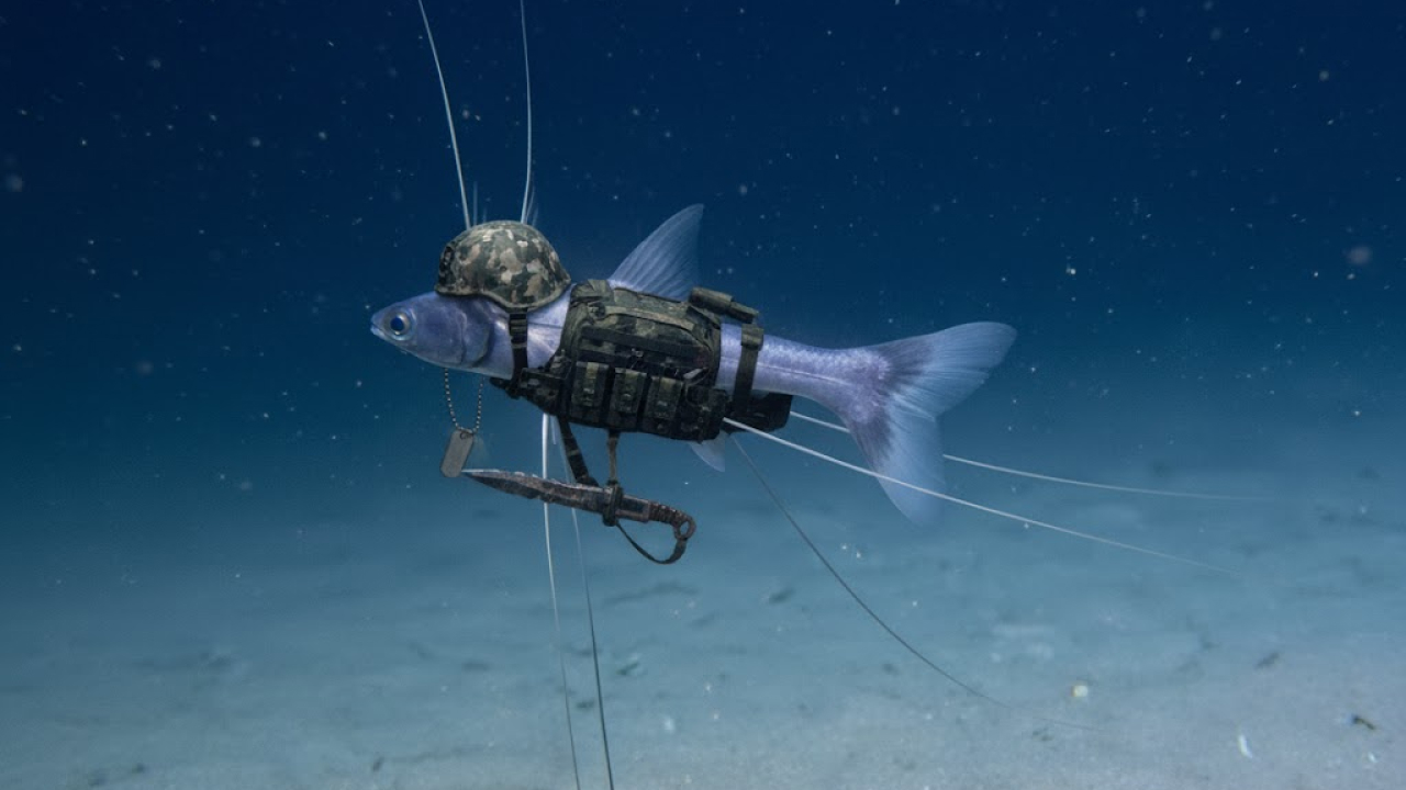 Soldier Boy - MP3 Download