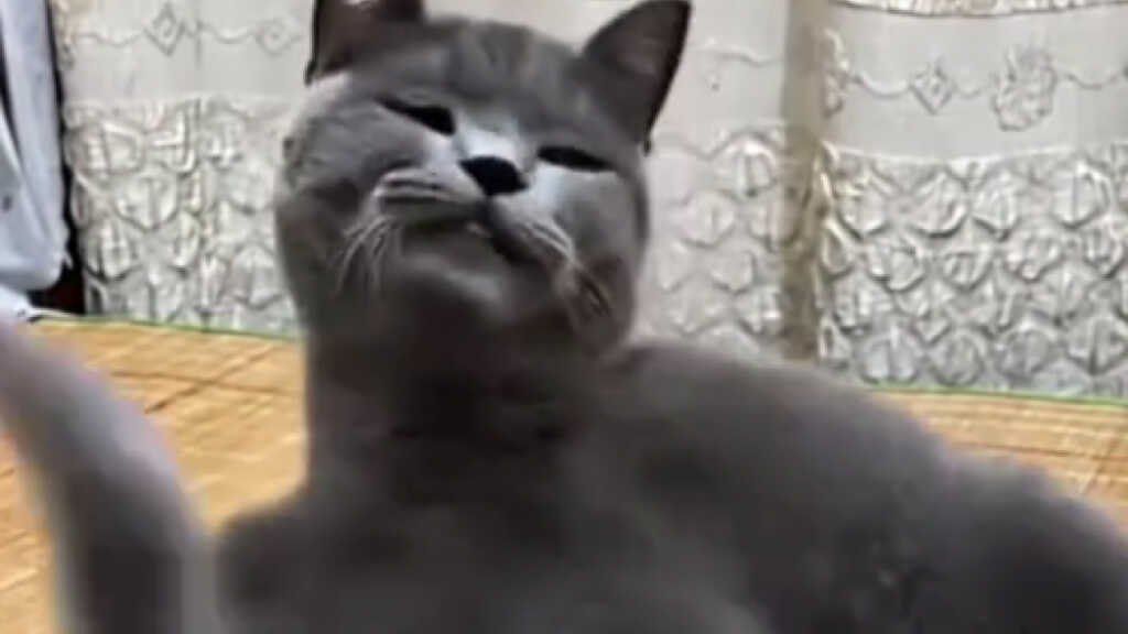 Memes Soundboard - Meme Sound Effects